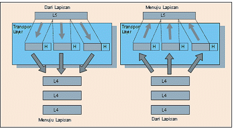 Lapisan menurut osi | Citra teknologi