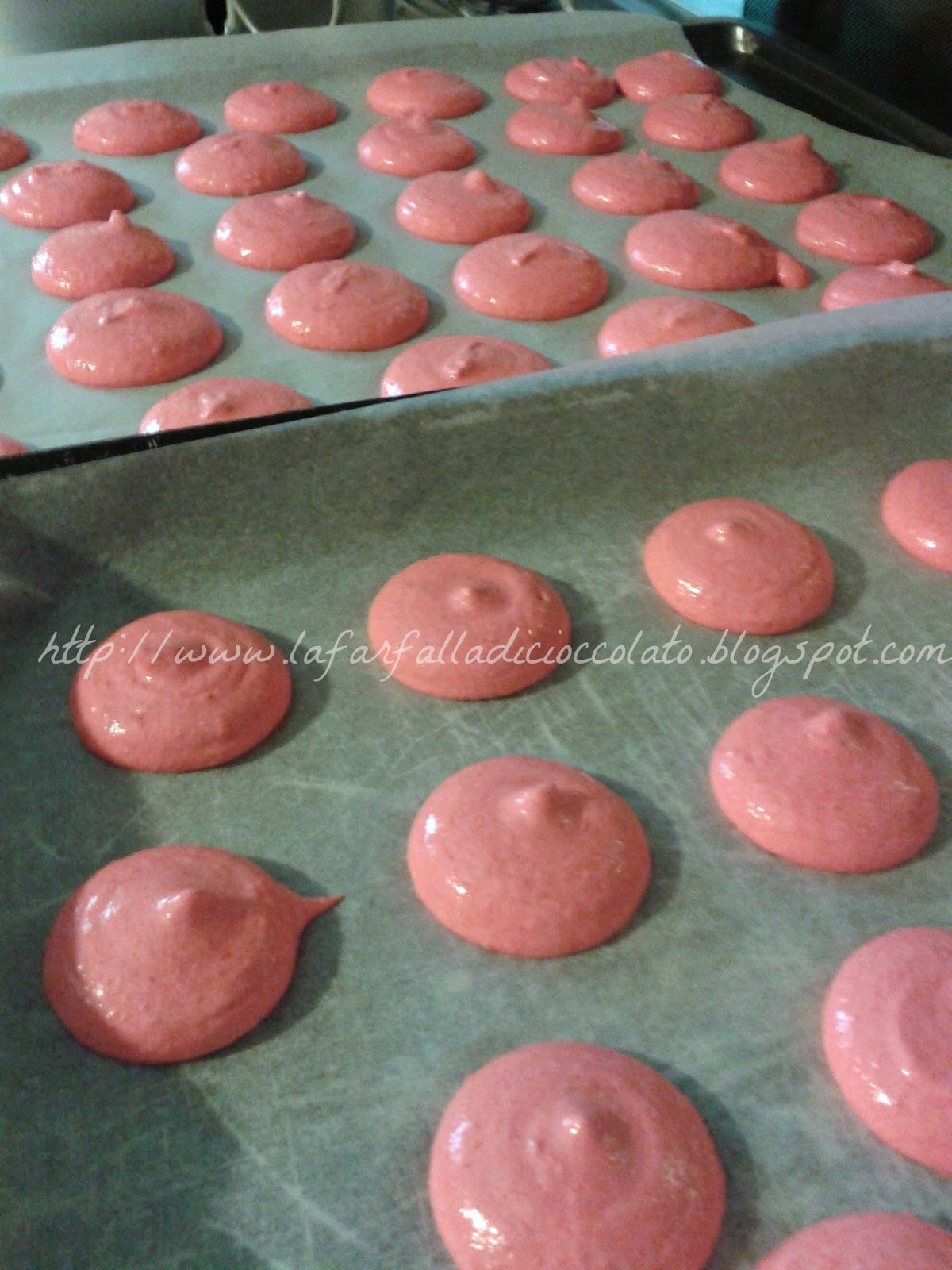 La Farfalla di Cioccolato: Macarons, tradizionali dolcetti francesi