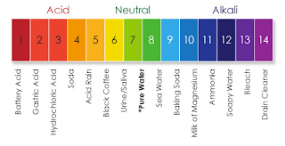 Chemistry One Staab 2016-17: Acids and Bases Unit 7
