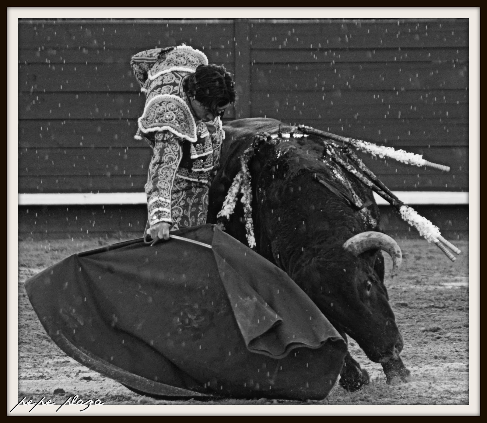 El Paseillo: GALERÍA PALERMA