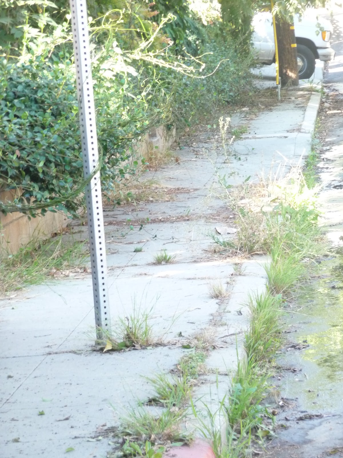 Where the Sidewalk Starts: LA finally gets serious about fixing its ...