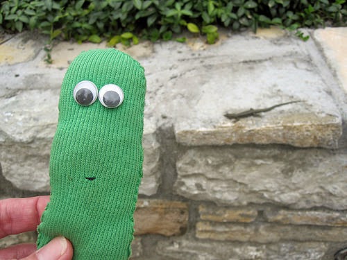 Nomadic Pickle: The Pickle Project