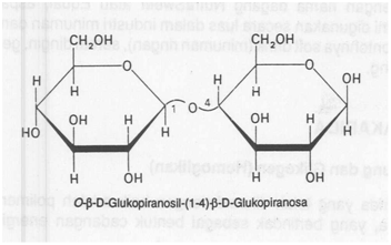 DISAKARIDA DAN POLISAKARIDA