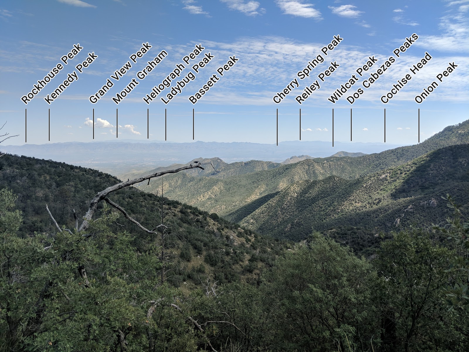 My Two Schillingsworth: Mt. Lemmon: Epic'd on Butterfly