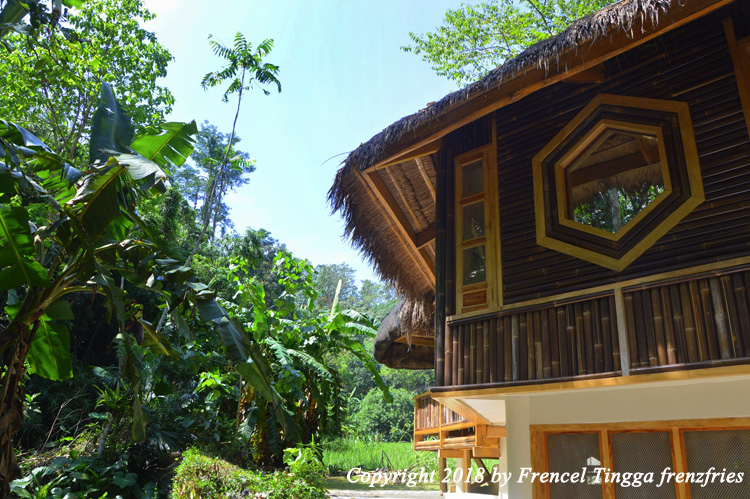 Frenz Fries: Lotus Valley Farm, San Juan La Union