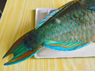 ::Have Fun!::: Ikan Kakatua (parrot fish) rasa kepiting