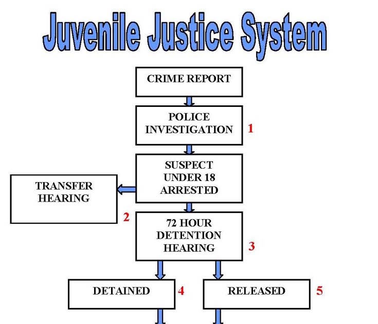 Law Dominion Juvenile Justice