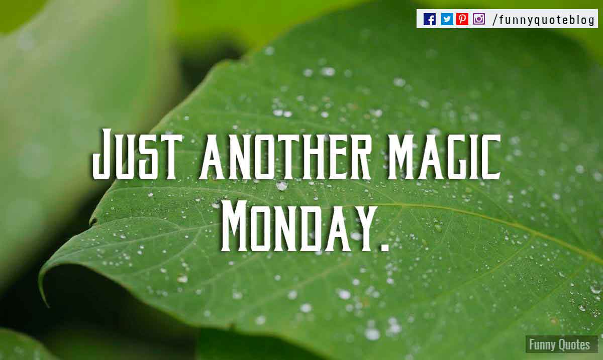 Motivational Monday Quotes to be Happy on Monday Morning