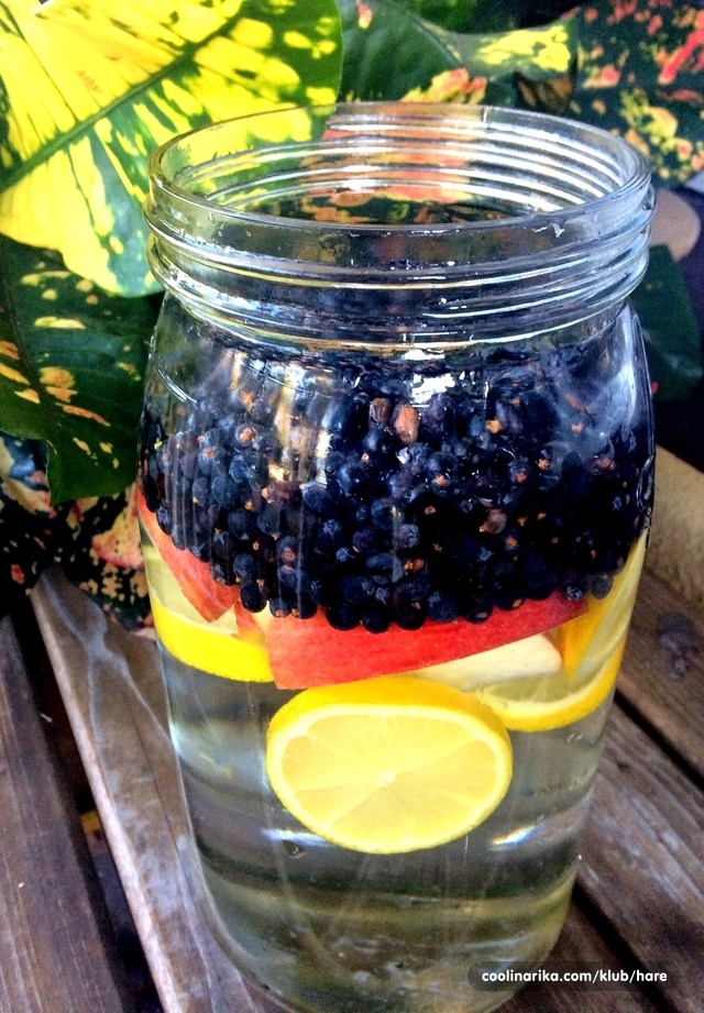 bebina kuhinjica: Tursija (probiotik) od voca i starinska tursija od smreke