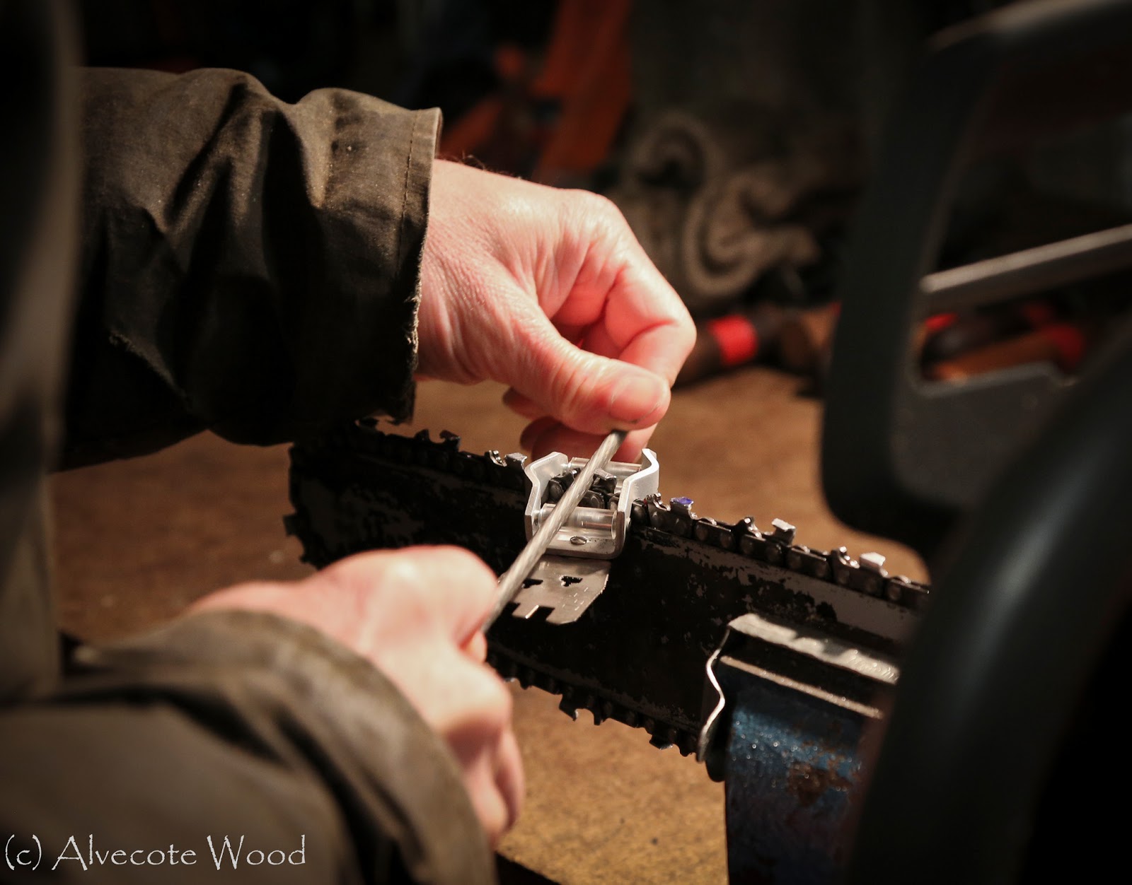 Chainsaw Training – Alvecote Wood
