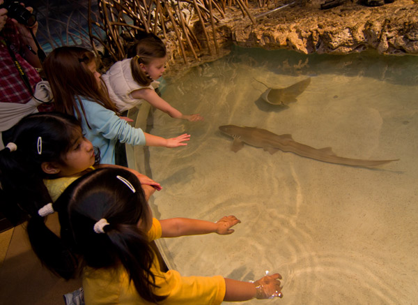 Aquarium News and Updates