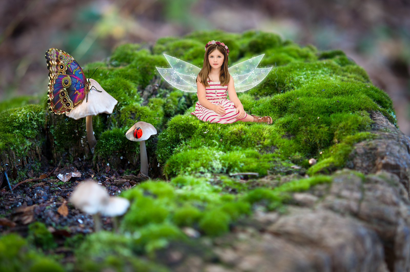 Designing Pixels: Fairy Project