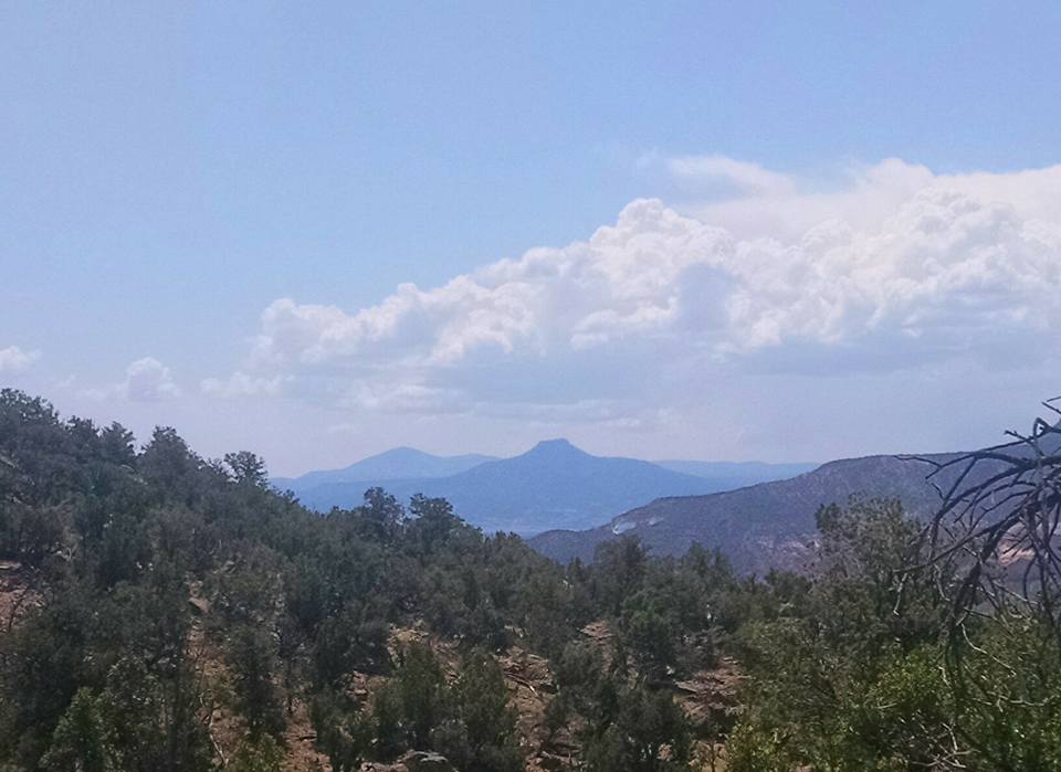 One Man's Odyssey: Chama River Canyon Wilderness