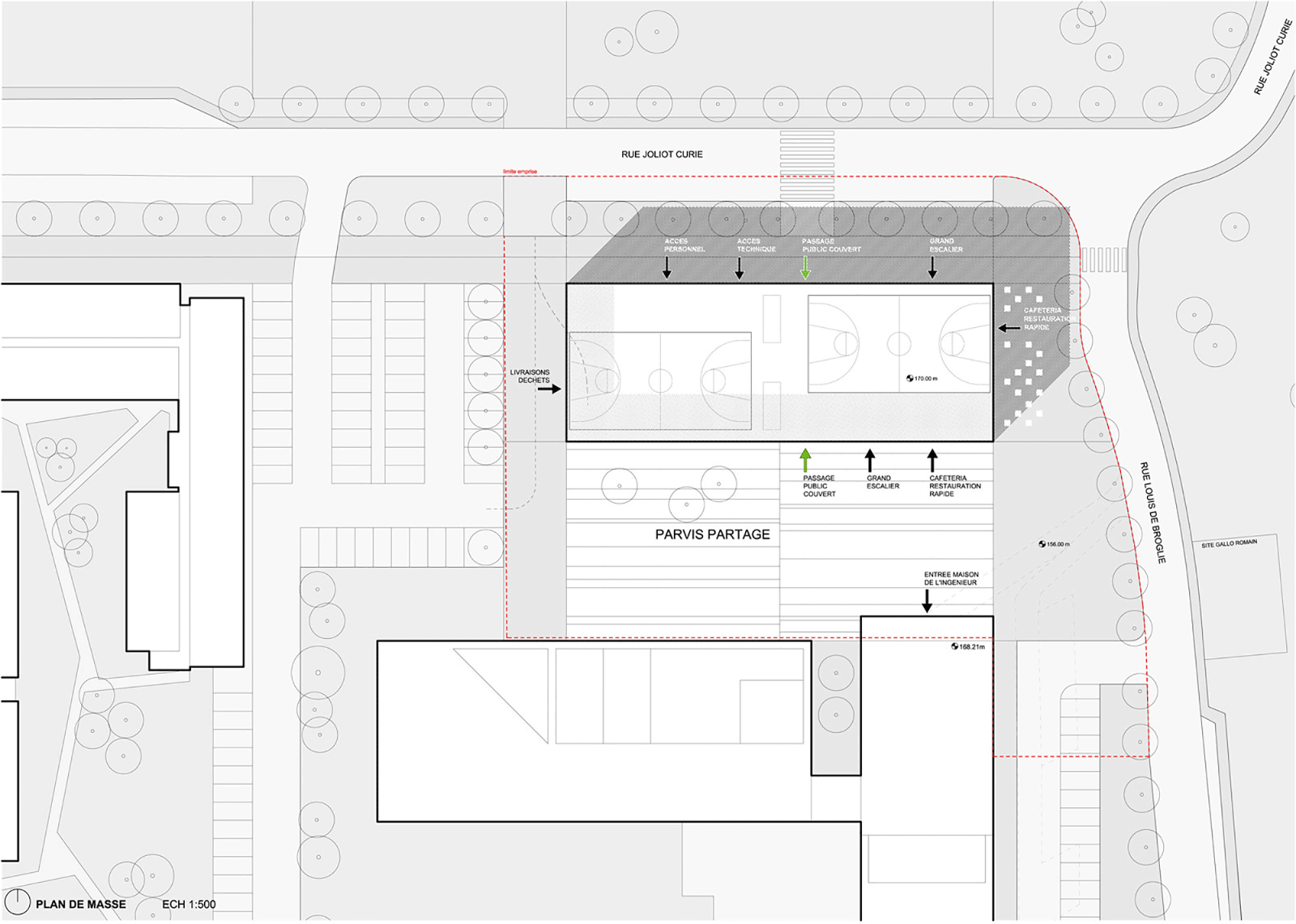 Muoto – a f a s i a