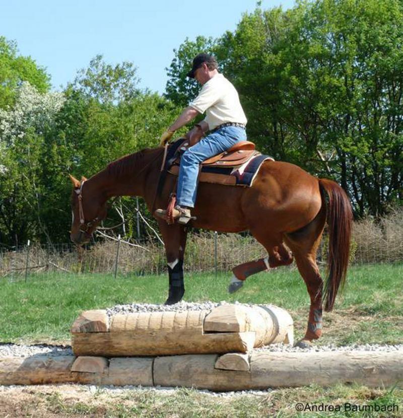 Riding & Writing...: Mark H. Bolender, Equestrian