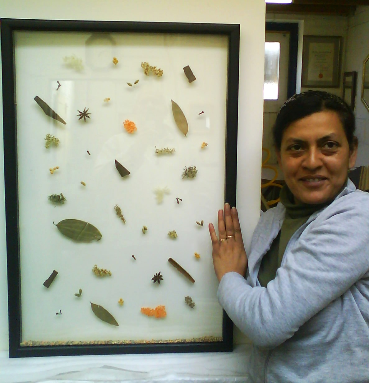 coastlinearts: Framing 3D objects