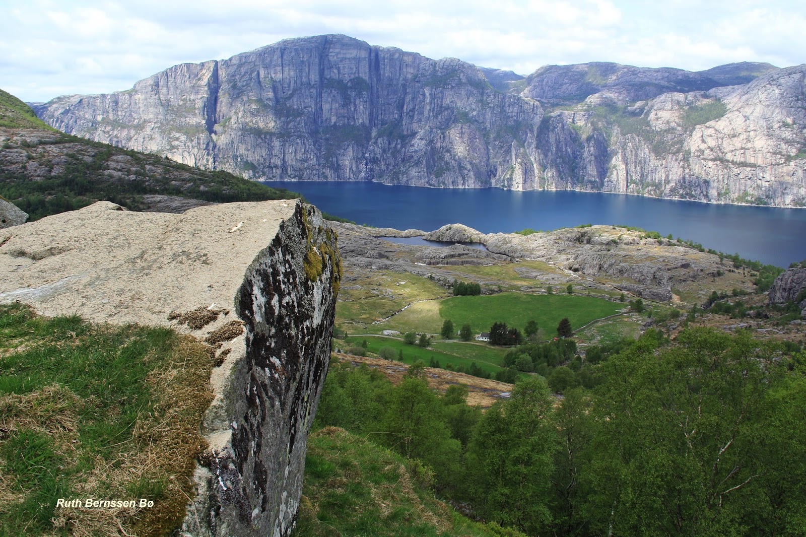 solsikken: Fossmark. Forsand Kommune