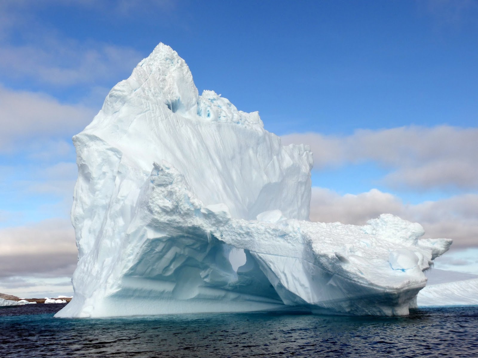 Iceberg