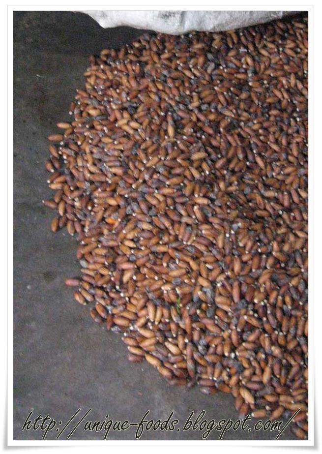 How to make Emping Melinjo (Cracker chips) Completely, and How to Fry it