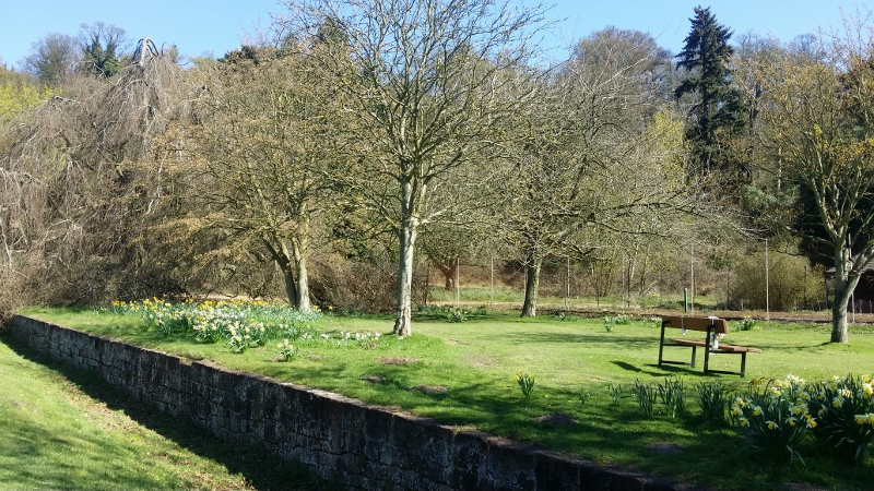 Lucy's Wednesday walks: Himley to Baggeridge - a popular Black Country walk