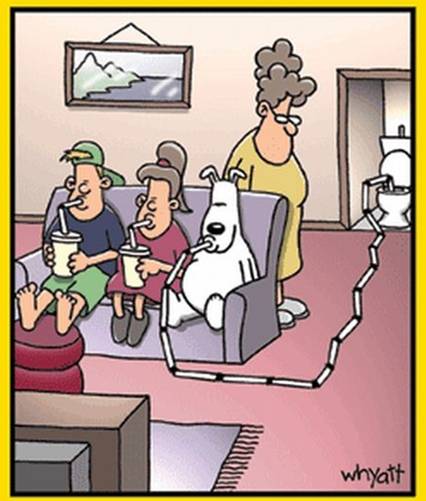 Some Gags: Tim Whyatt Cartoons