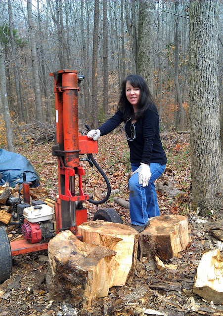 diy Design Fanatic: DIY Log Splitting