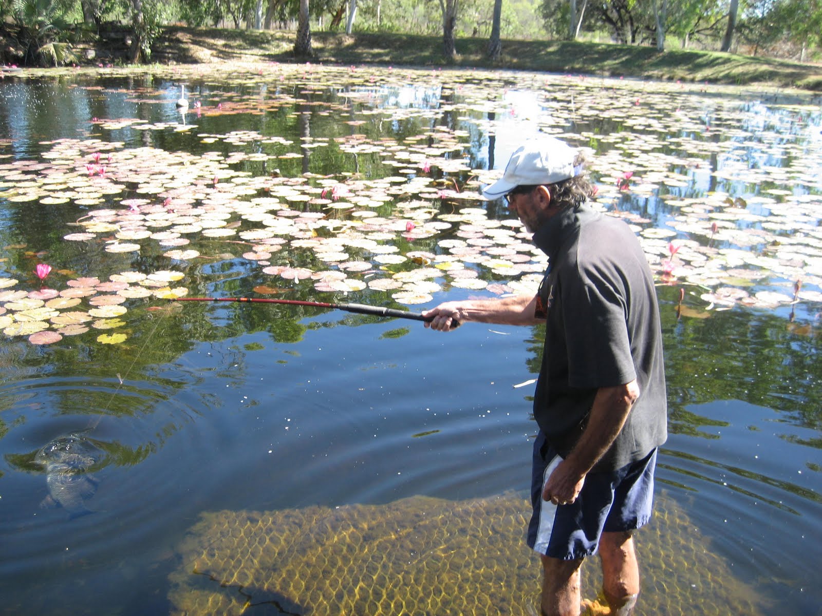 The Wandering 2's: Katherine - NT- Springvale Homestead