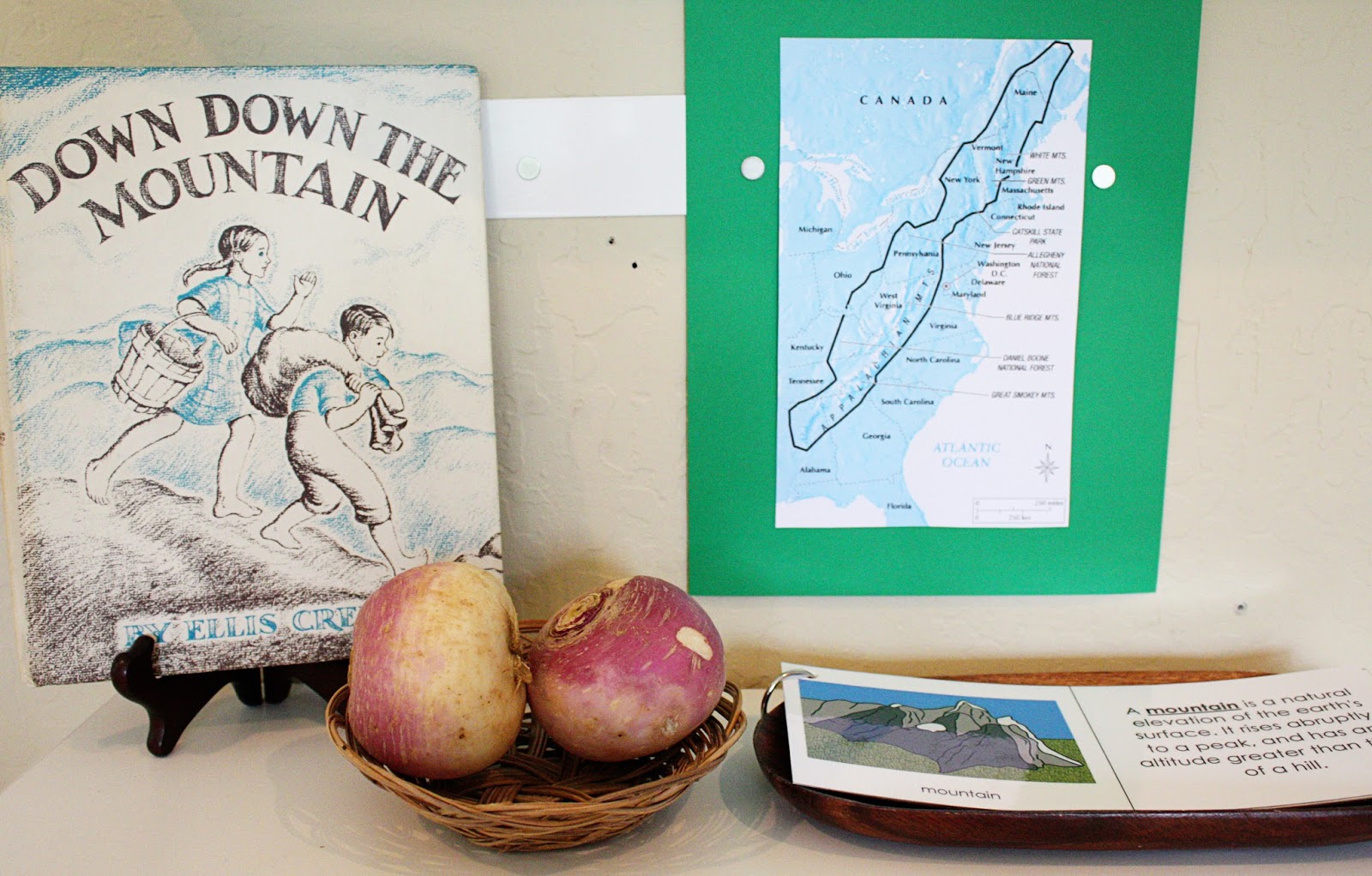 The Modern Vintage Homeschool: Down Down the Mountain