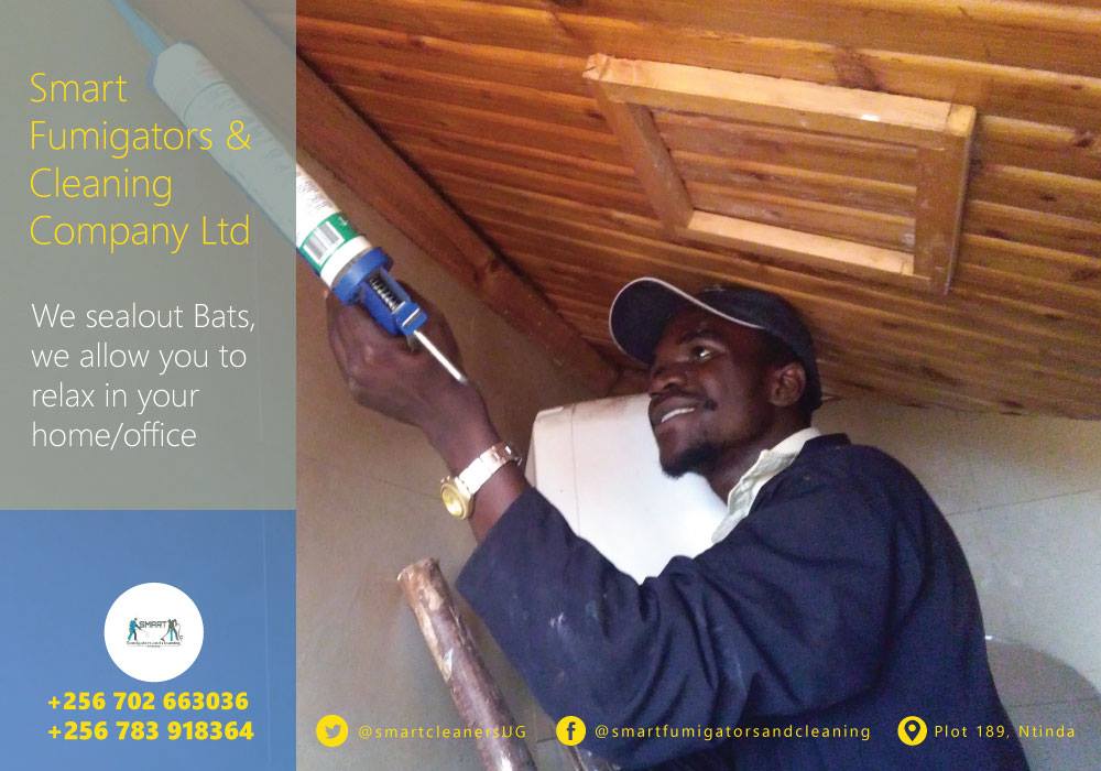 Professional Fumigation And Pest Control Services