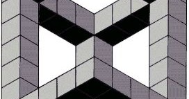 Optische illusies en gezichtsbedrog: Visuele illusies: kunst optisch bedrog