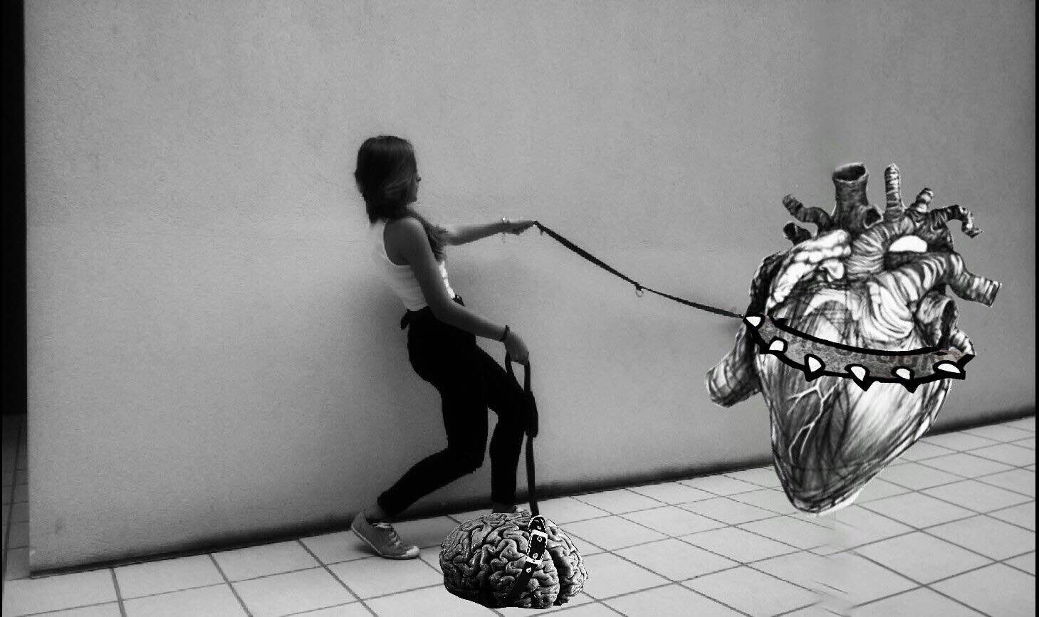 EPVa - Colegio San José fesd: Metáforas visuales