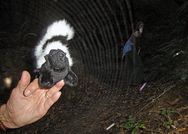 Camera Trap Codger: January 2013