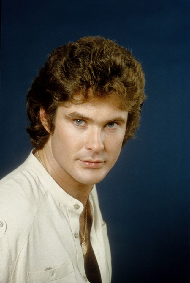 Don't Hassle The Hoff! 30 Cheesy Portraits of David Hasselhoff Like You ...