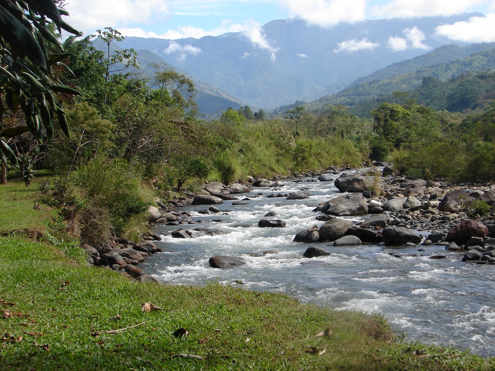 Enduring a Jungle Trek in the Costa Rican Mountains