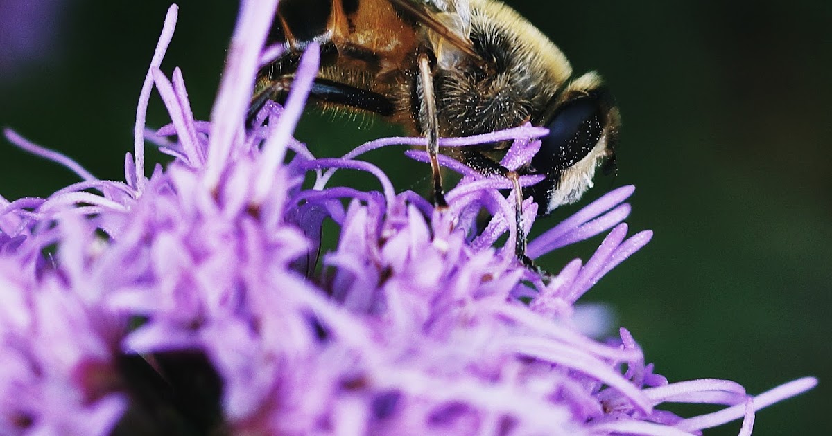 painting, drawing, art.: macro part. 2