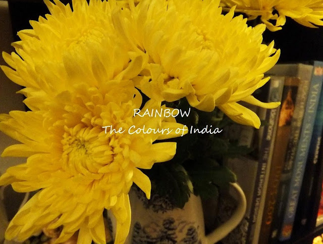 RAINBOW - The Colours of India: Stylish Spaces