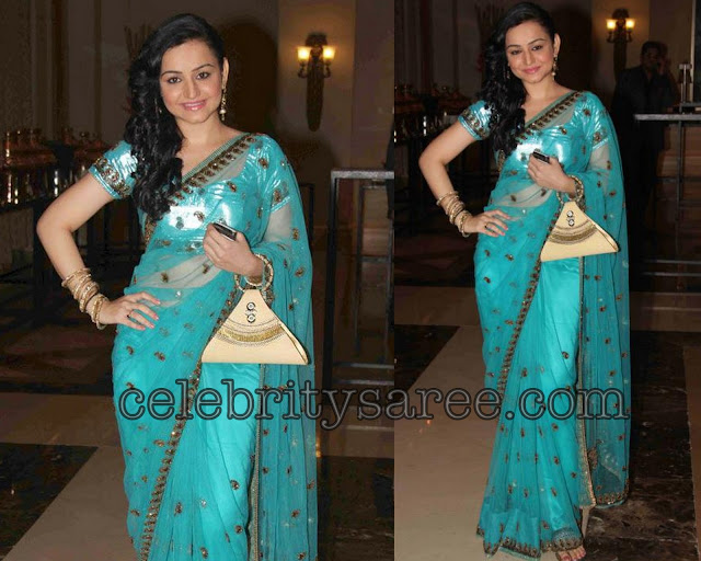 Muskan Mehaani Netted Shimmer Saree - Saree Blouse Patterns