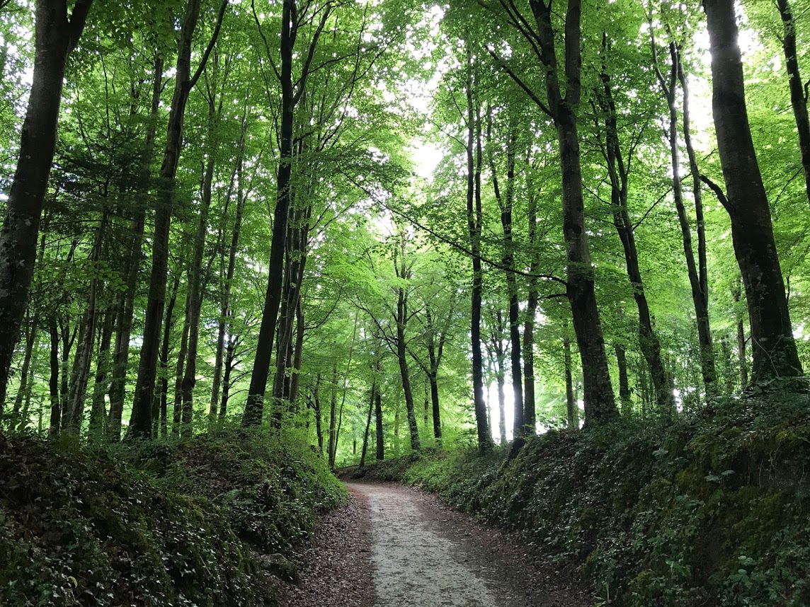 Patrick Comerford: Curraghchase and the search for the elusive Lady ...