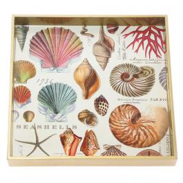 Seashells and Southern Belles: Michel Design Works