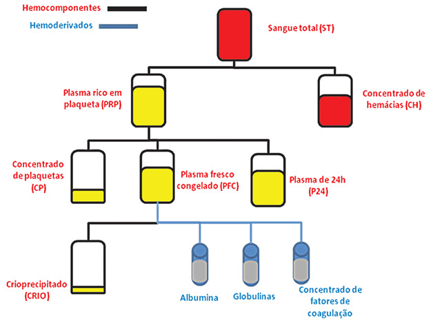 Cuidados UTI: Transfundir II