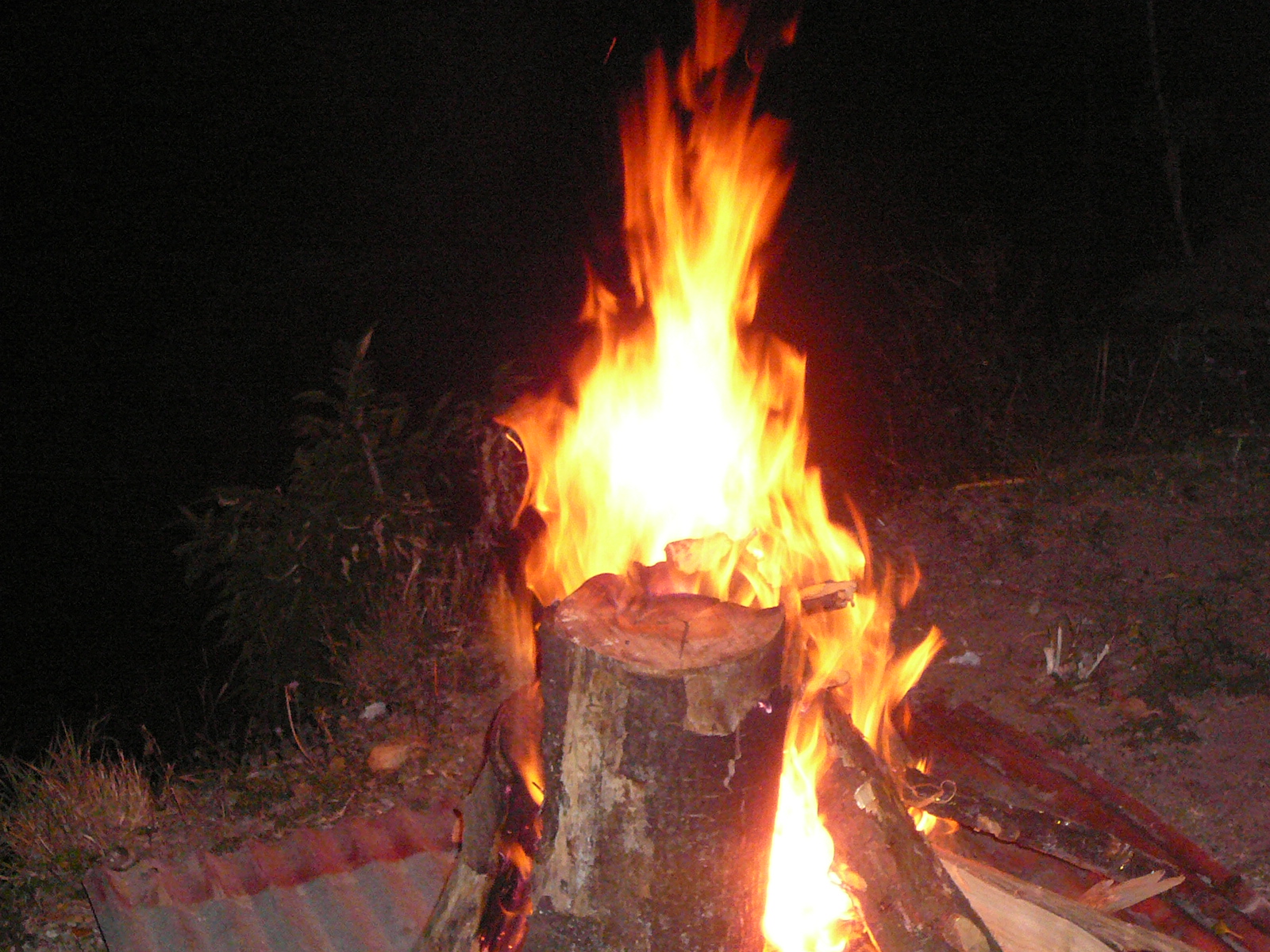 Sumedha: ONE MONTH OF SUMEDHA SADHANA