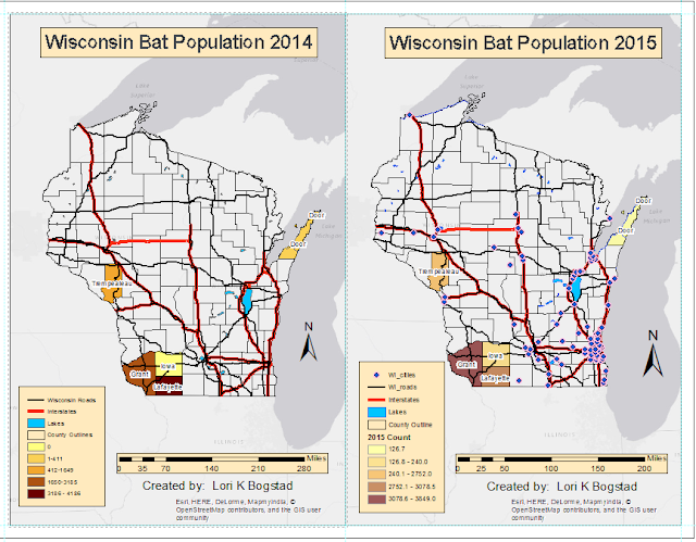 Geography 335 GIS: Mini Project- Analysis of the Declining Bat ...