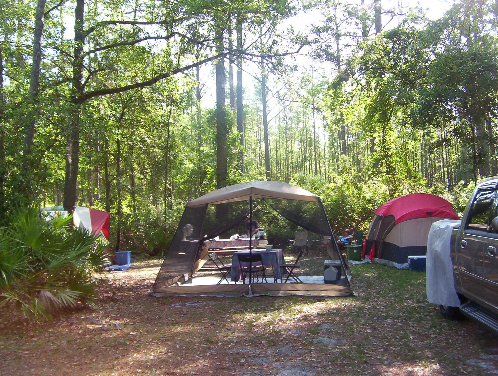 Andre's Corner: Camping at the Okefenokee swamp