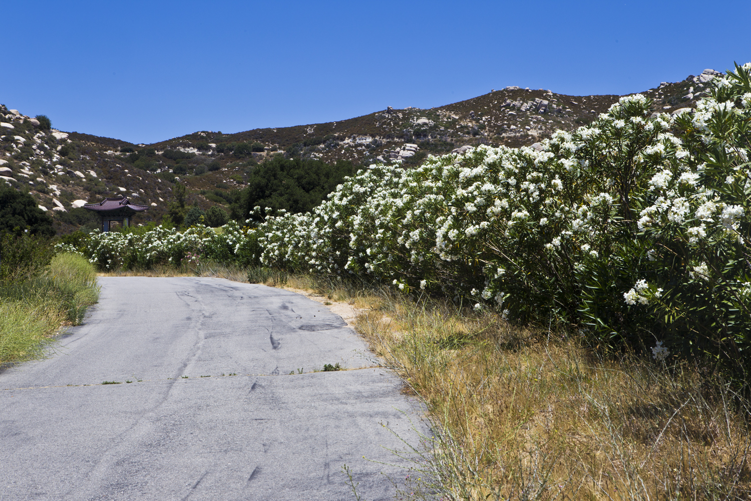USA Diamond Zen Center