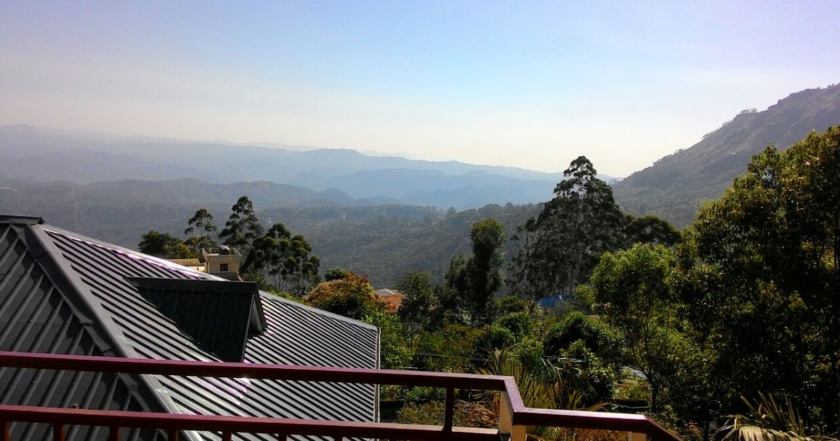 Infinite Valley Cottage Munnar | Budget Independent Cottage with Valley ...