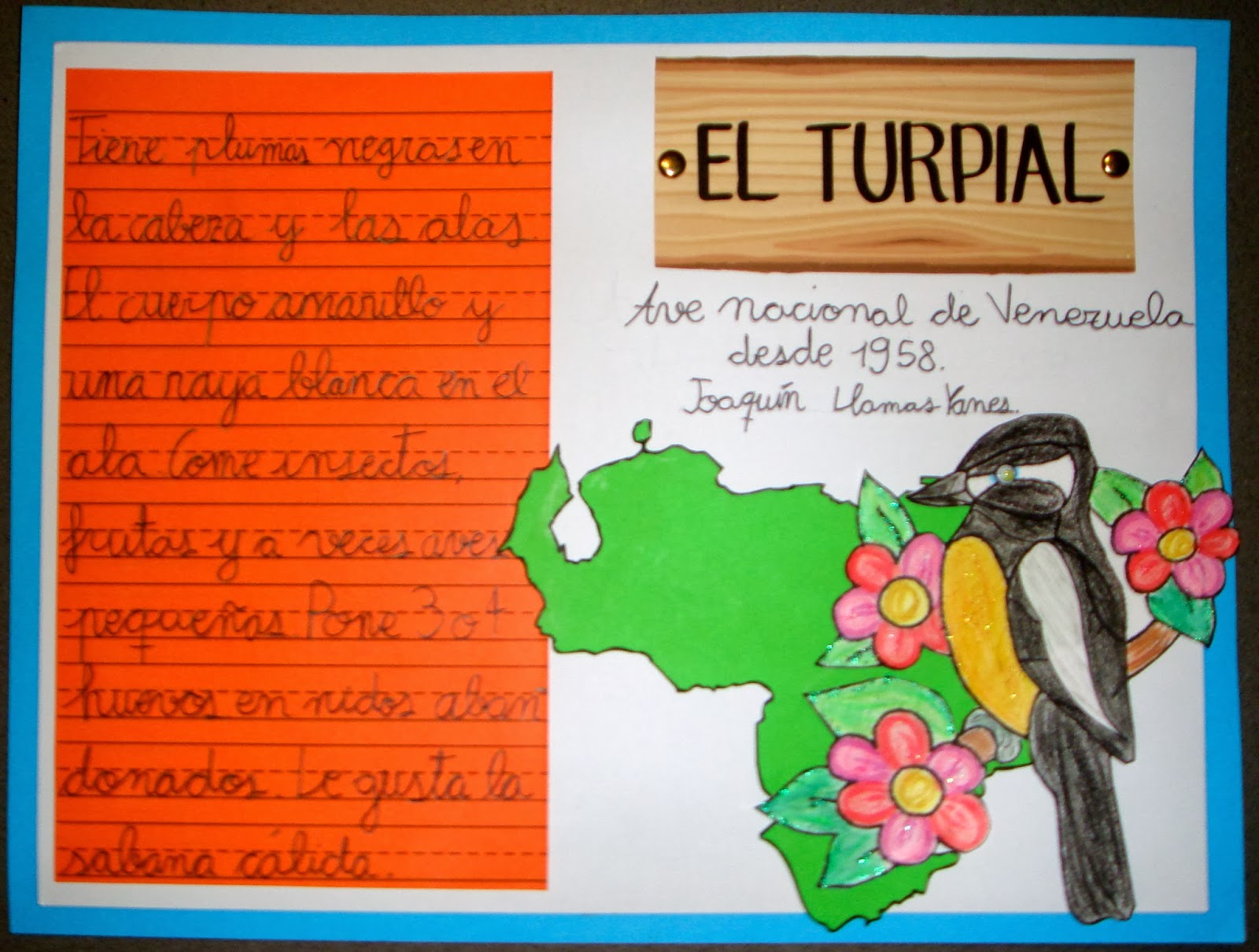 El turpial para colorear para niños - Imagui
