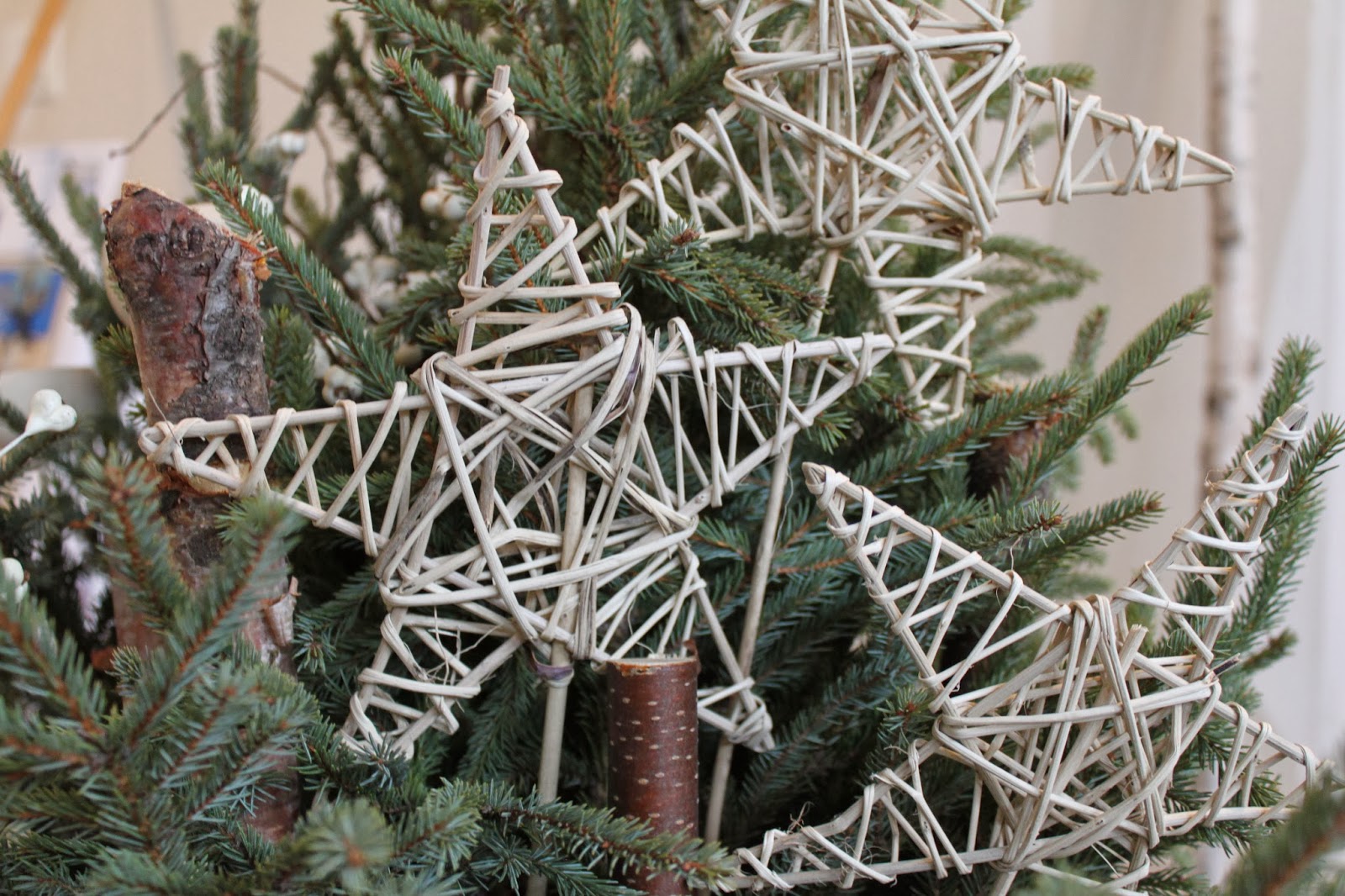 Explore Love Eat: DIY: Spruce Tip Porch Pot