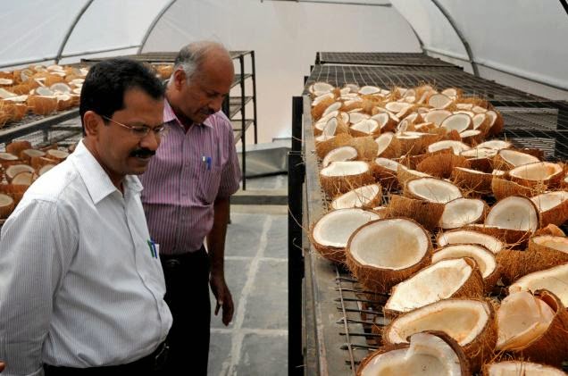 Copra Production | Agriculture, Technology, and Business Market