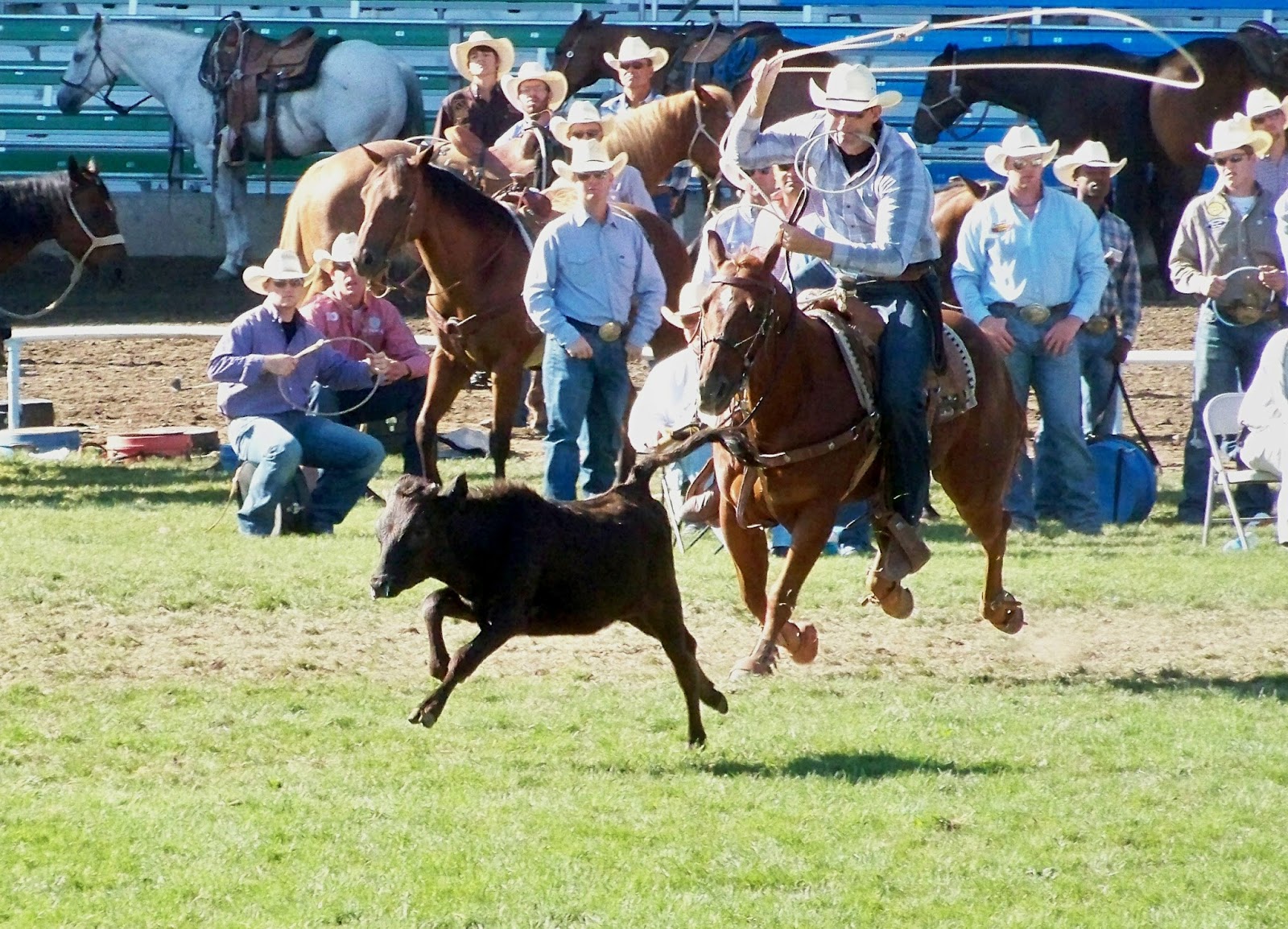 Pendleton Roundup Blog