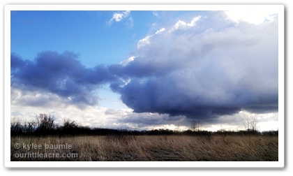 Our Little Acre: In Spring, the Wind Blows Hard